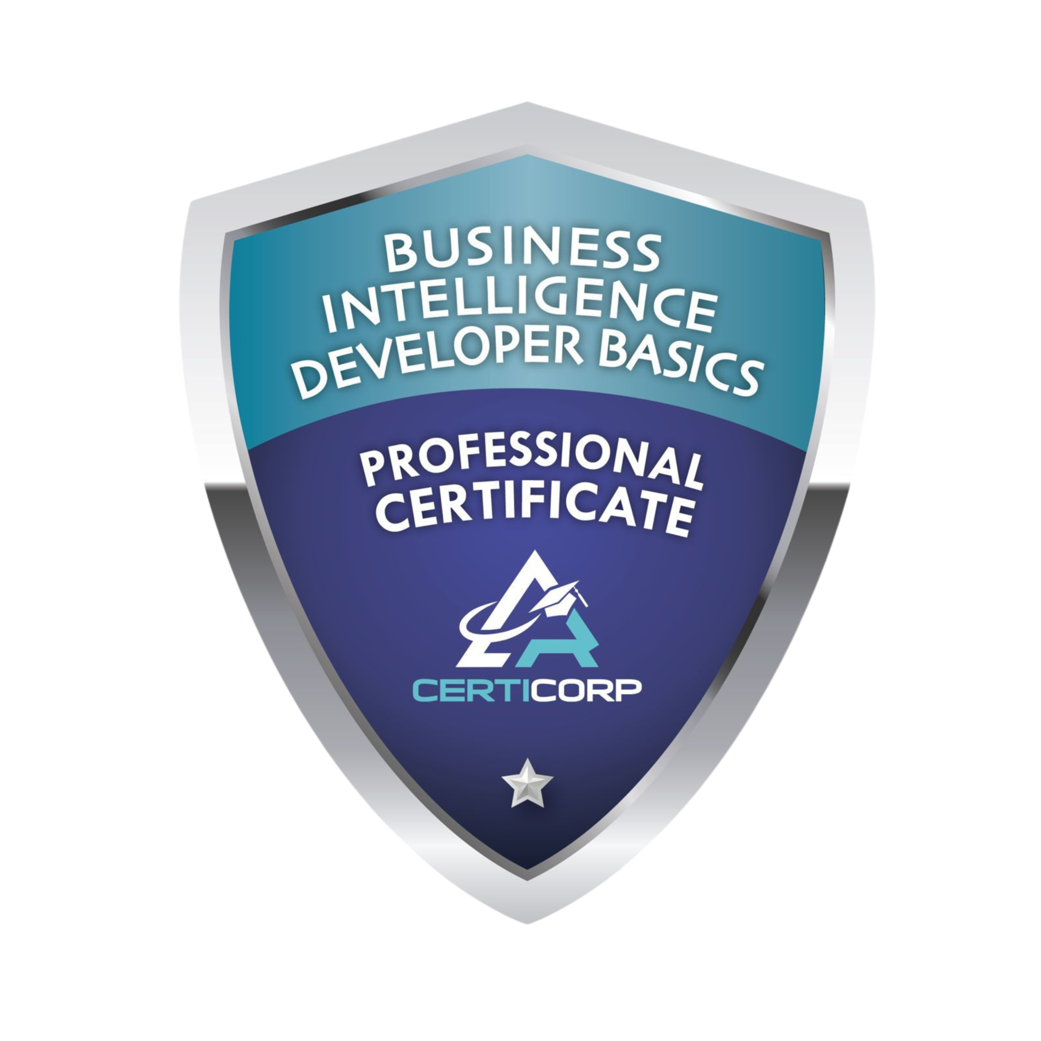 Business Intelligence Developer Basics Professional Certification - Credly