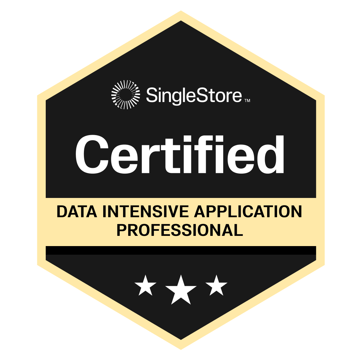 Data Intensive Application Professional Course Completion Badge - Credly