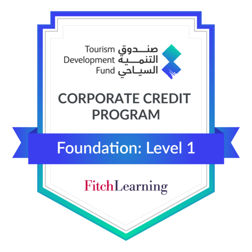 The TDF Corporate Credit Program - Foundation Level 1 - Credly