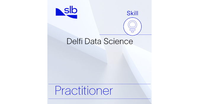Delfi Data Science - Practitioner - Credly