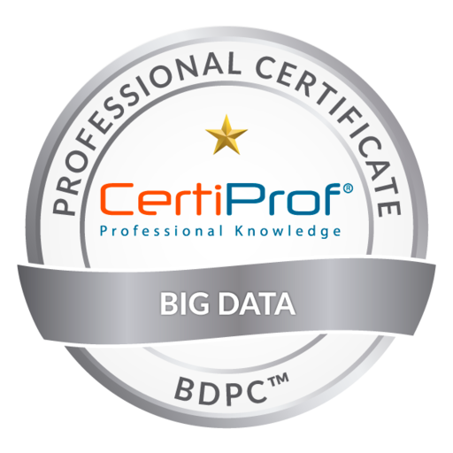 Big Data Professional Certificate - Credly