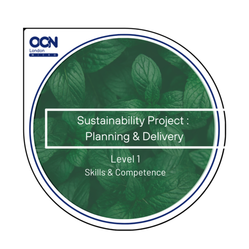 Sustainability Project: Planning & Delivery - Credly