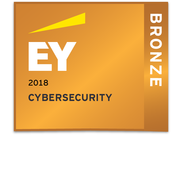 EY Cybersecurity - Bronze (2018) - Credly