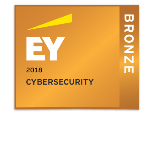 EY Cybersecurity - Bronze (2018) - Credly