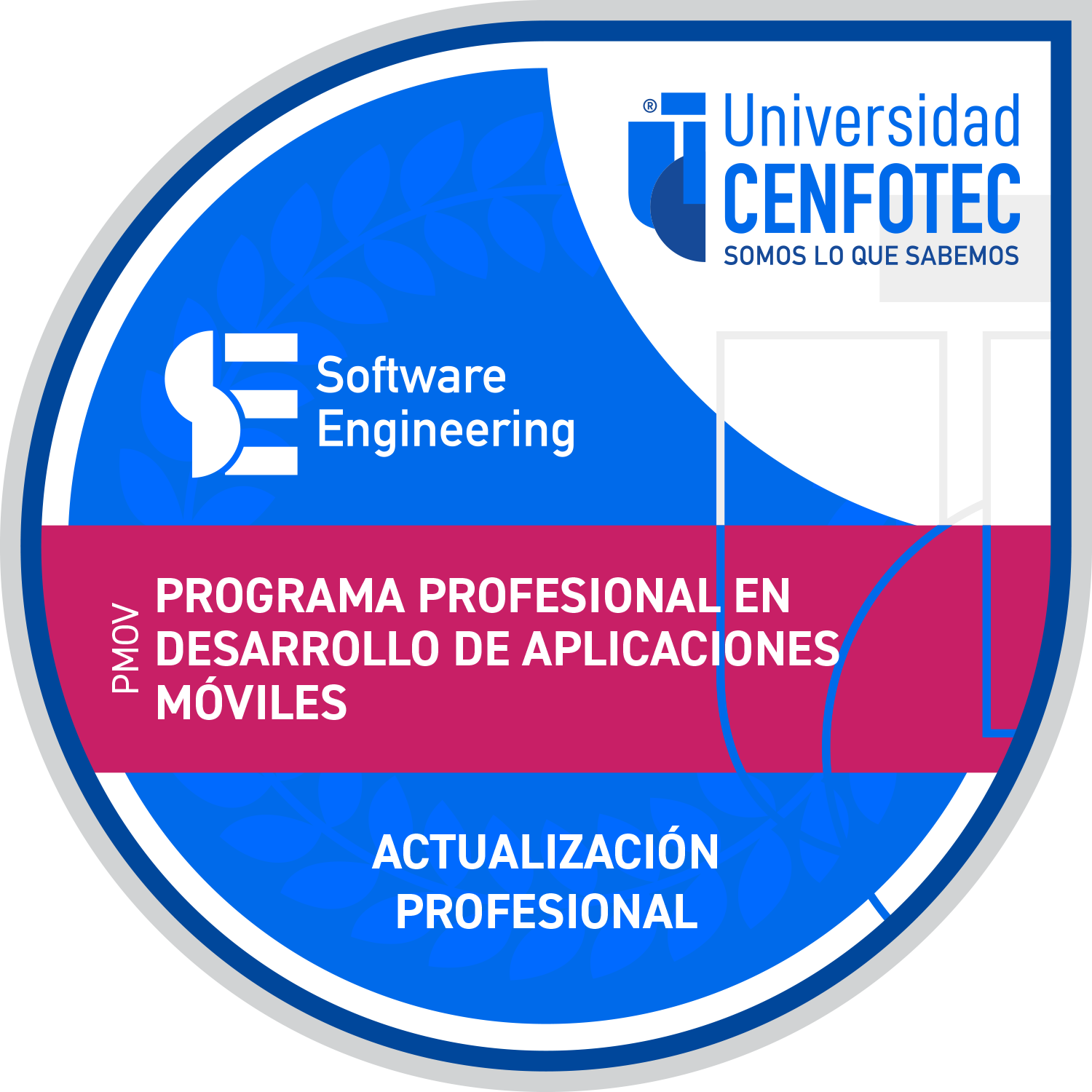 Programa Profesional en Desarrollo de Aplicaciones Móviles - Credly