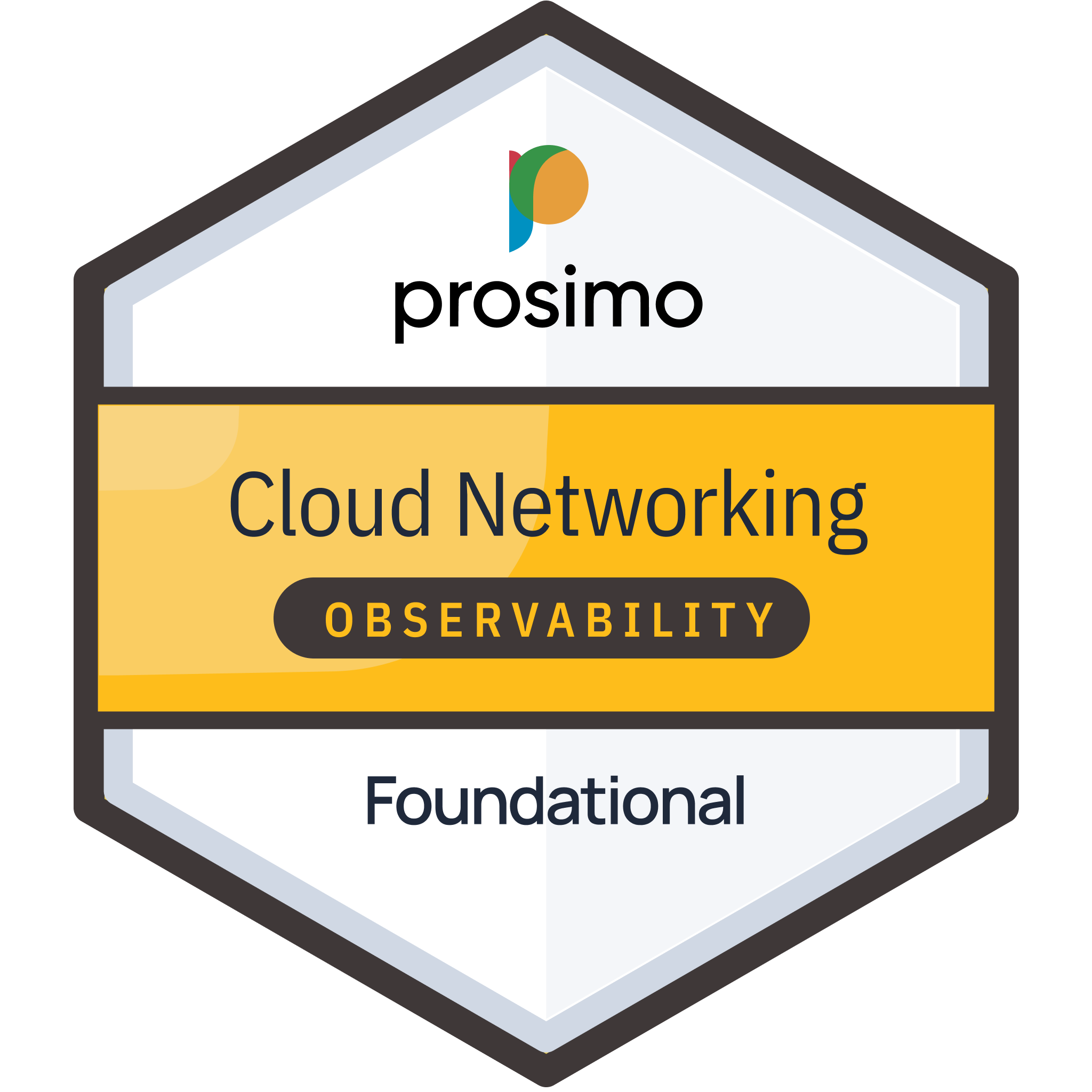 Cloud Networking (Observability) - Foundational - Credly