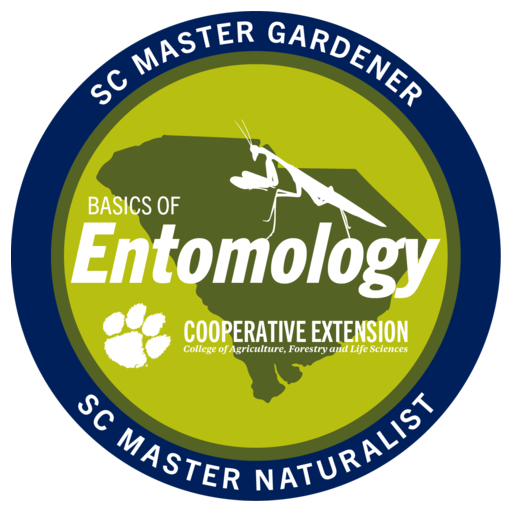 Basics of Entomology - Credly