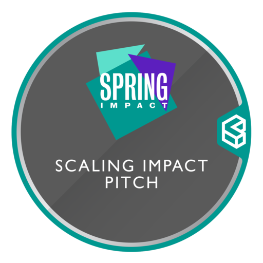 Scaling Impact Pitch - Credly