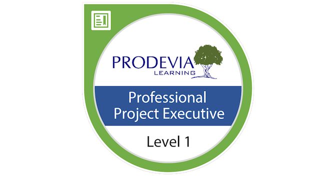 Professional Project Executive (PPE1) - Credly