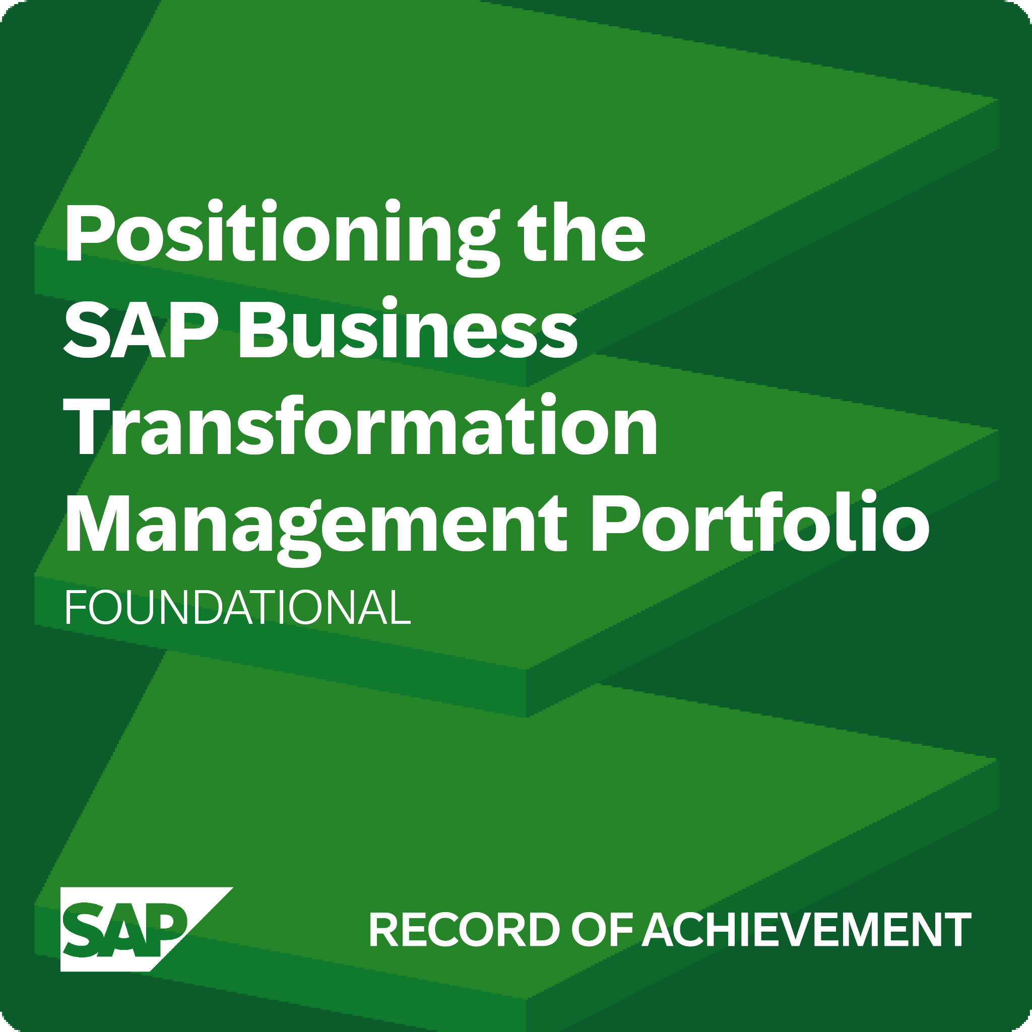 Positioning the SAP Business Transformation Management Portfolio ...