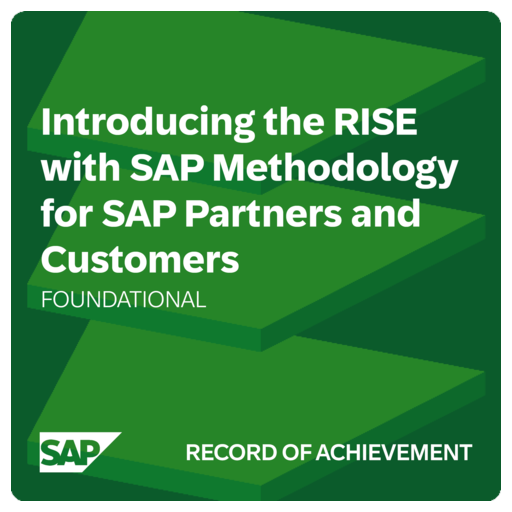 Introducing the RISE with SAP Methodology for SAP Partners and ...