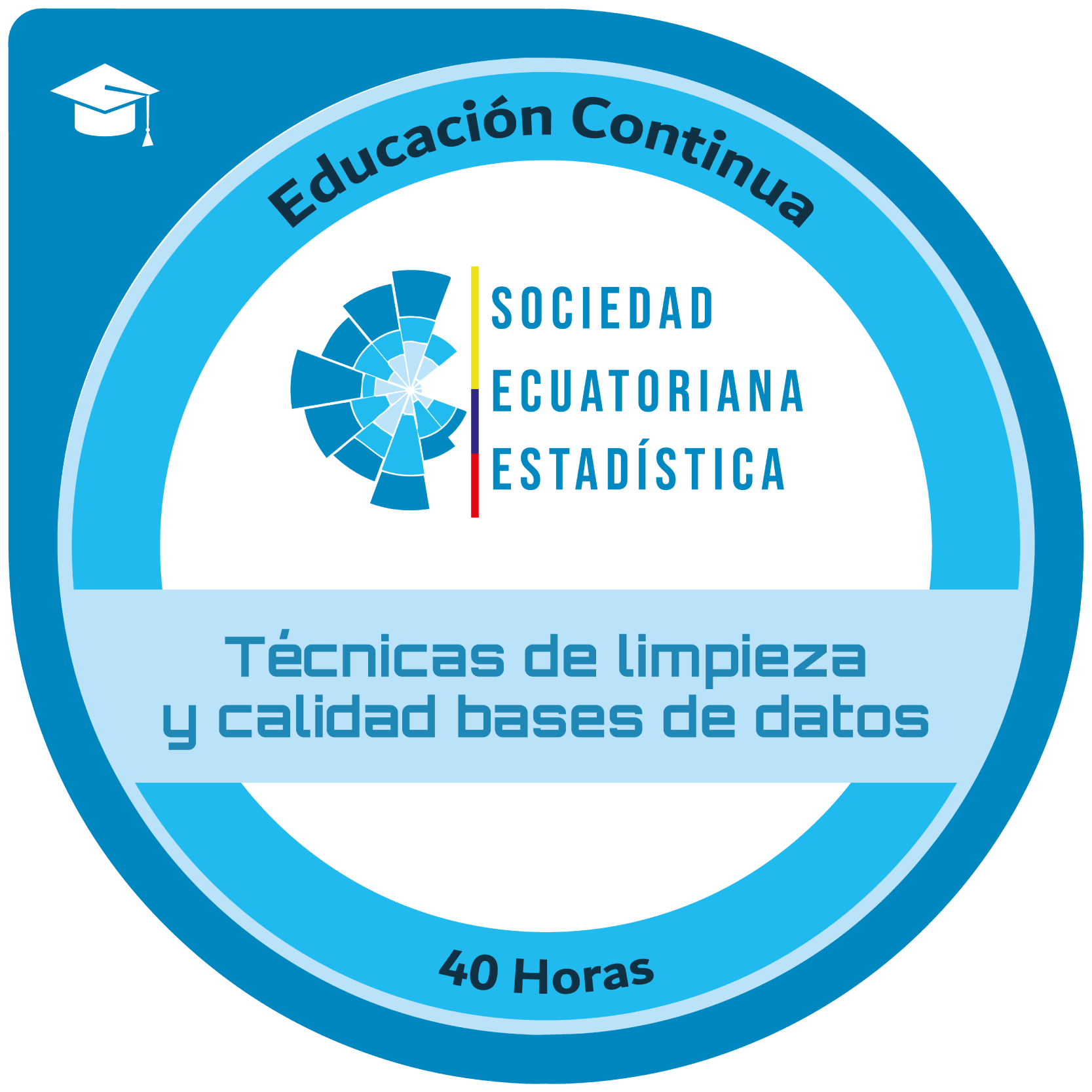 Técnicas de limpieza y calidad en bases de datos - Credly