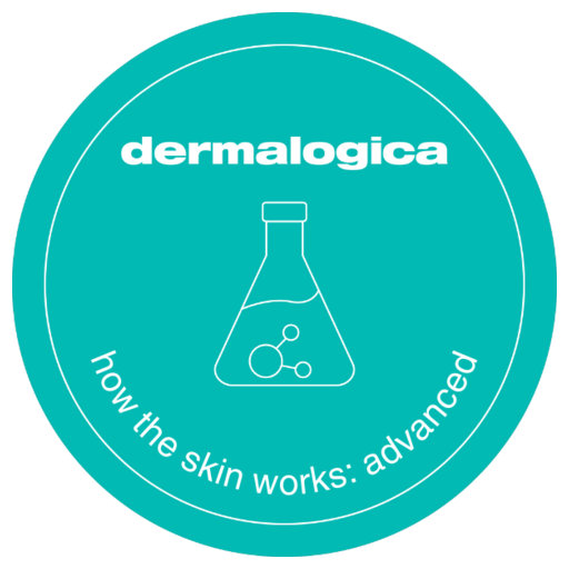 how the skin works: advanced - online - Credly