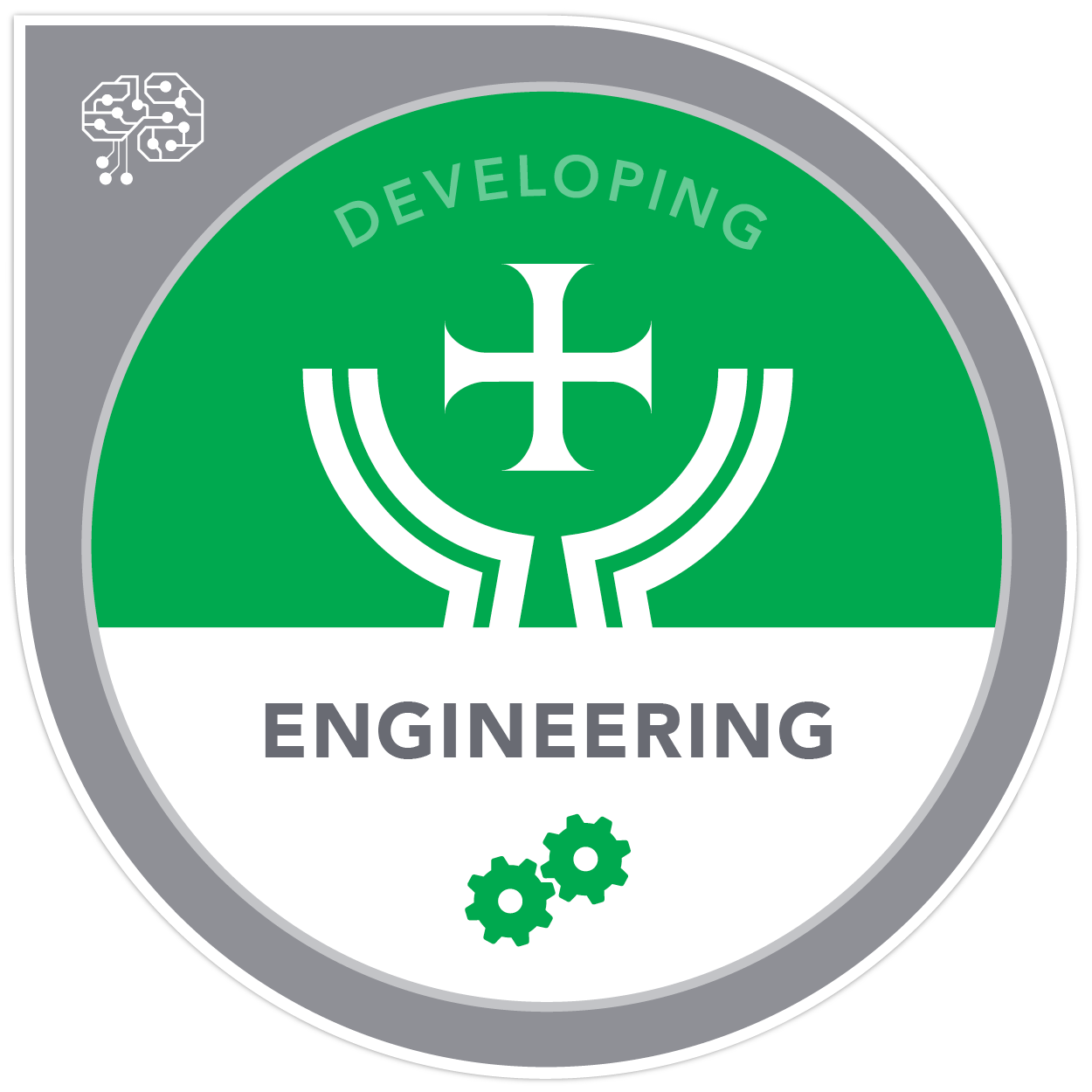 Engineering - Developing - Credly