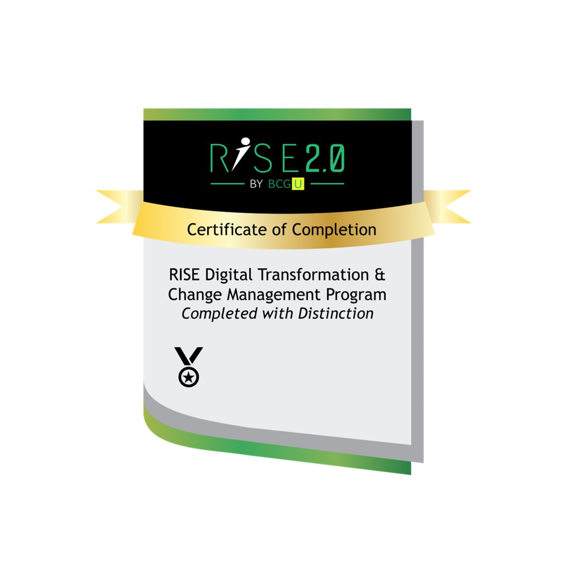 BCG RISE Certificate of Completion - Digital Transformation & Change Management Program ...