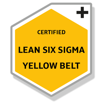 Certified Lean Six Sigma Yellow Belt - Credly