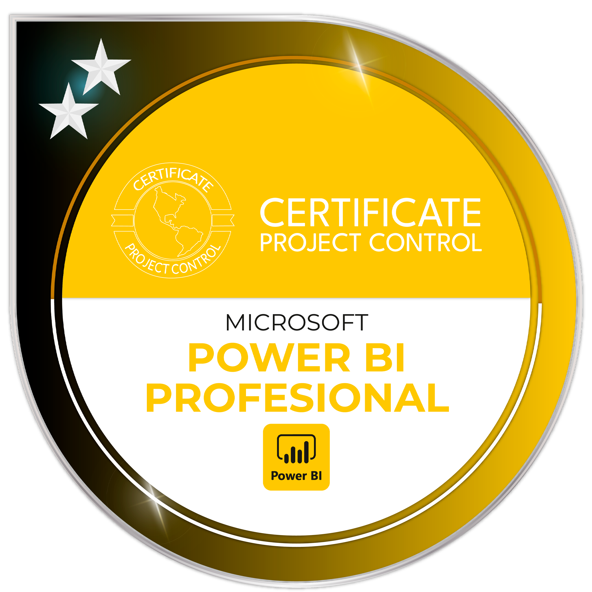 Especialización en Power BI Profesional - Credly