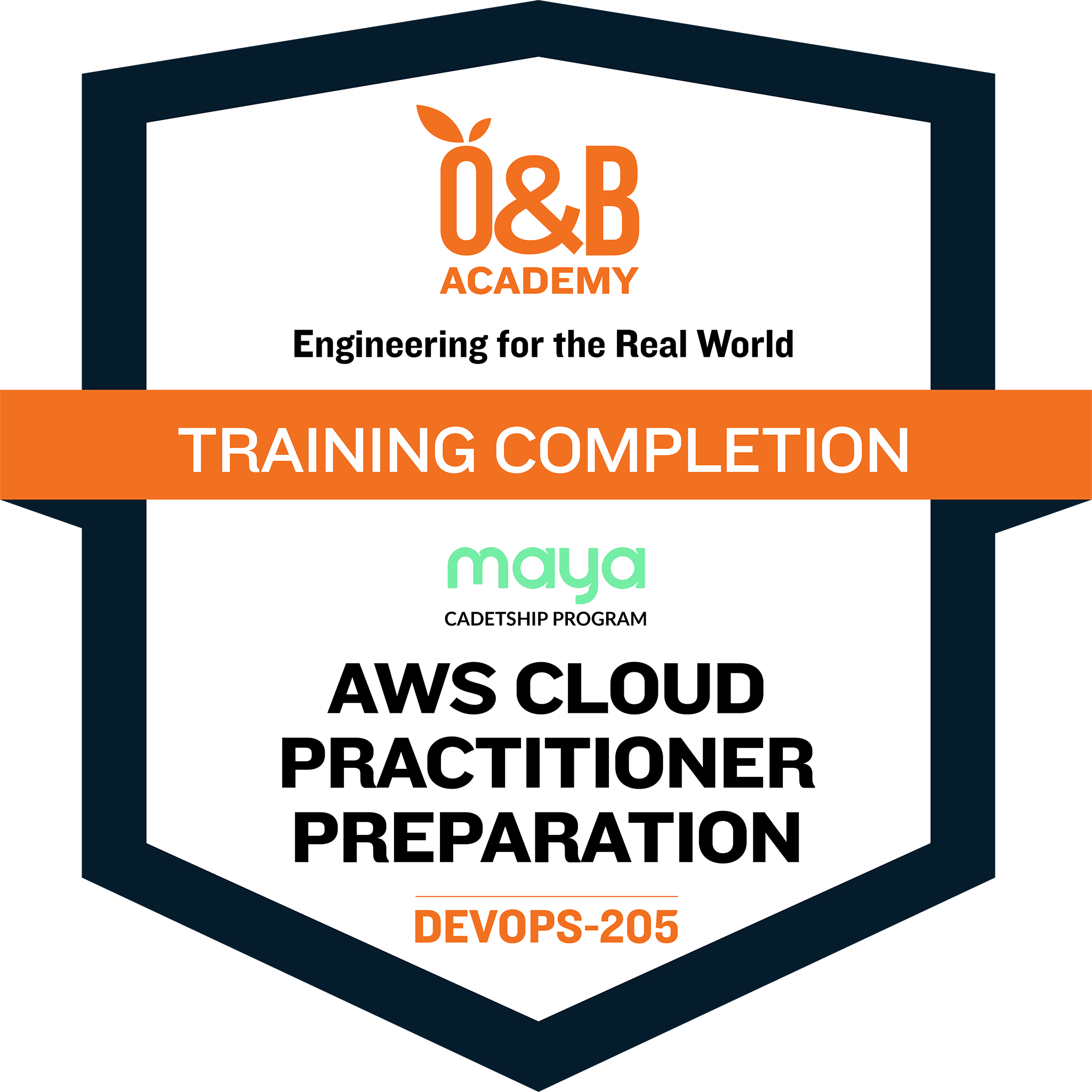 DEVOPS-205: AWS Cloud Practitioner Preparation (Maya Cadetship Program ...