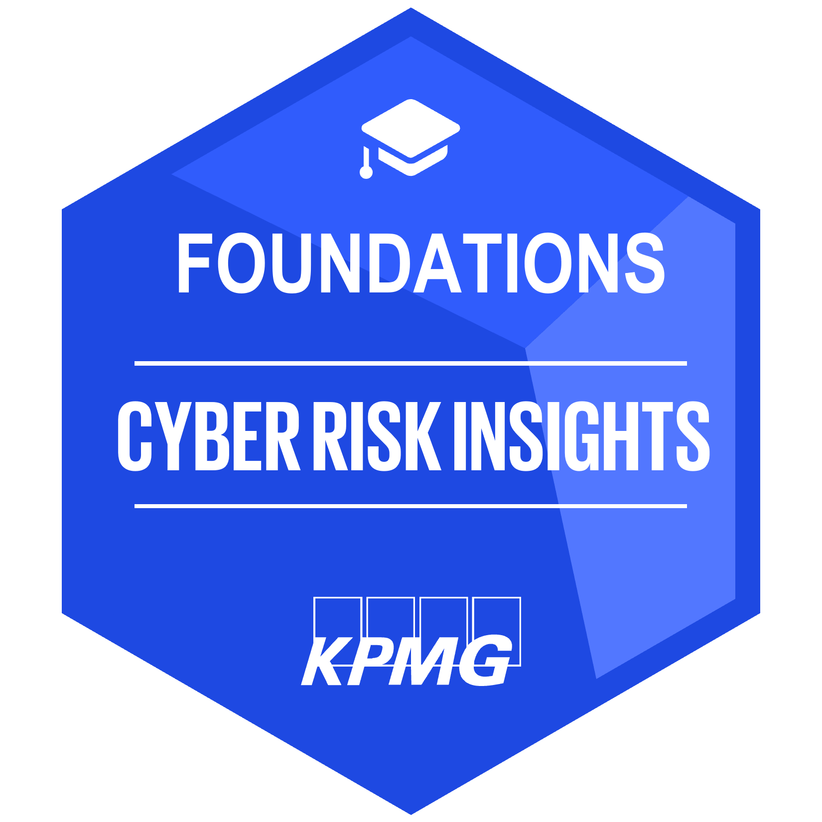 Cyber Risk Insights - Foundations - Credly