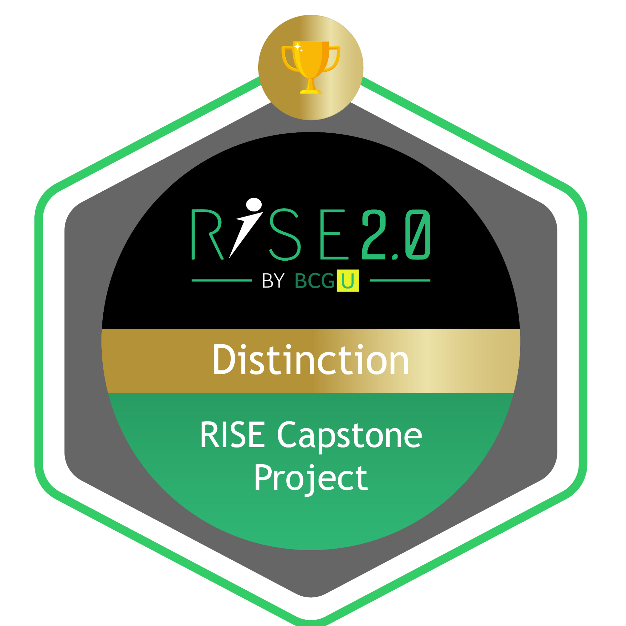 BCG RISE Capstone Distinction (Business and Data Analytics) - Credly