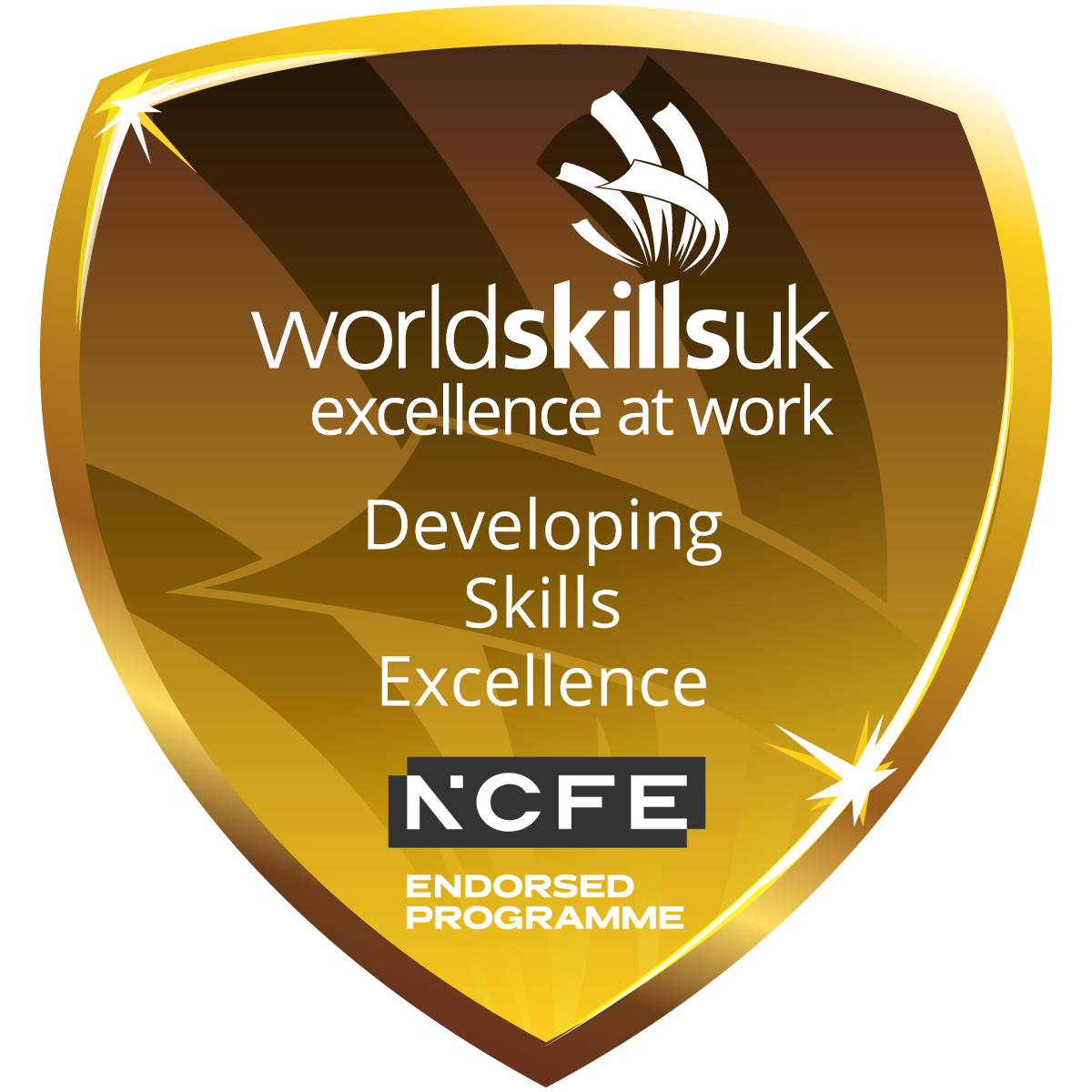Developing Skills Excellence - Credly