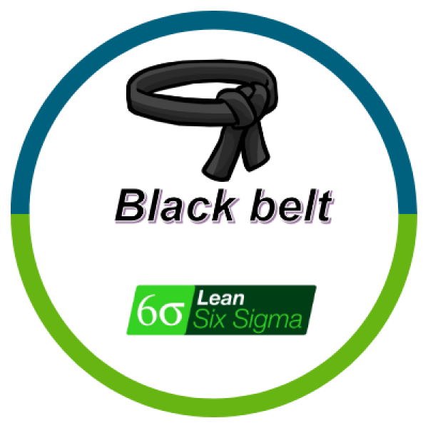 Lean Six Sigma Black Belt - Credly