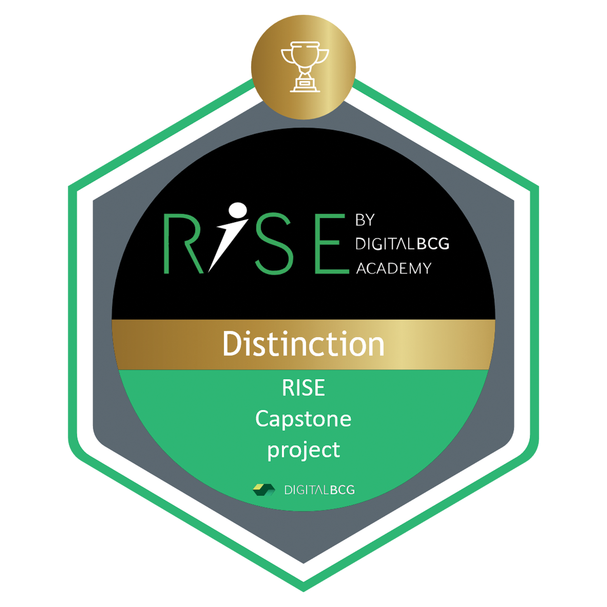 BCG RISE Capstone Distinction (Business and Data Analytics) - Credly