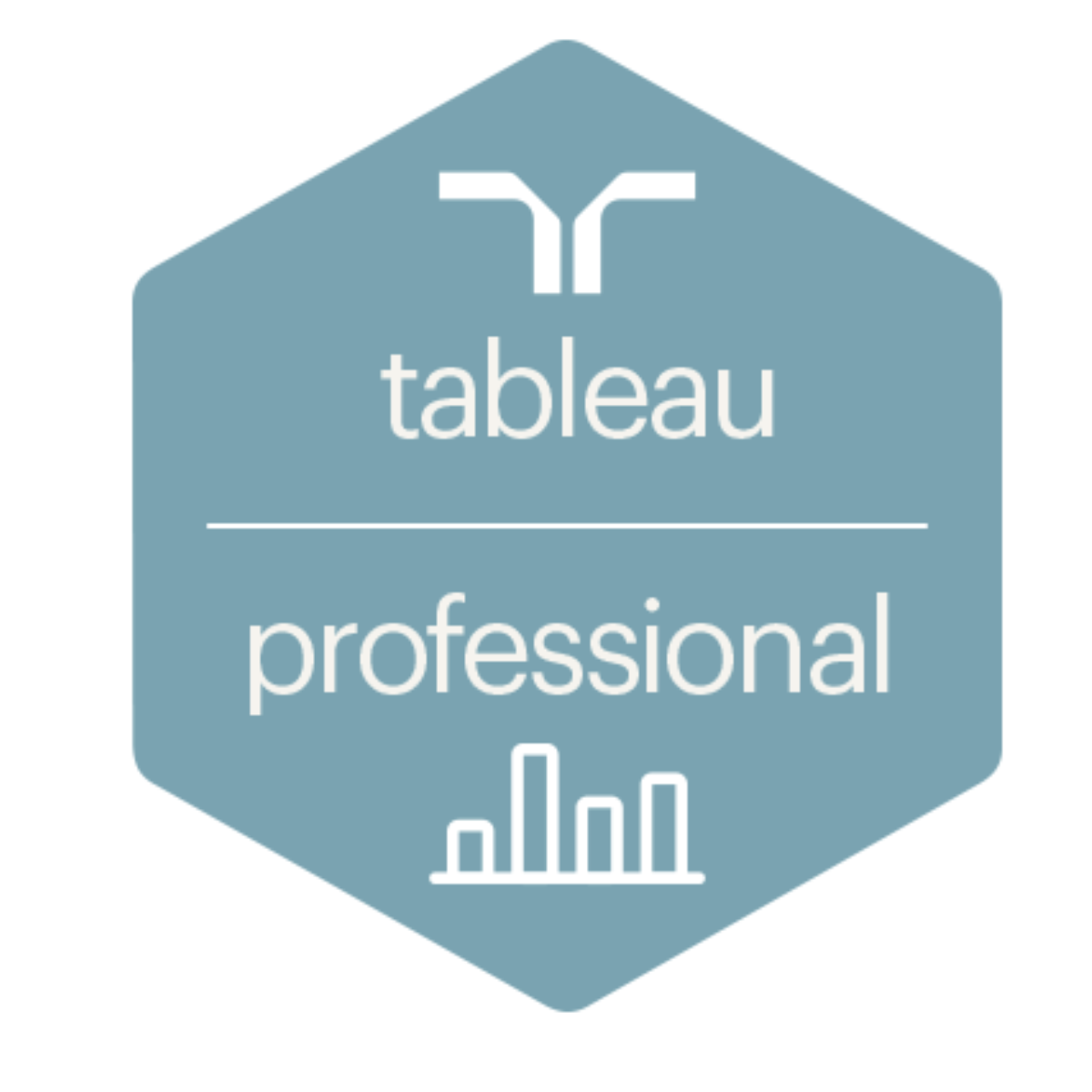 Tableau Learning Pathway @ Randstad: Professional level - Credly