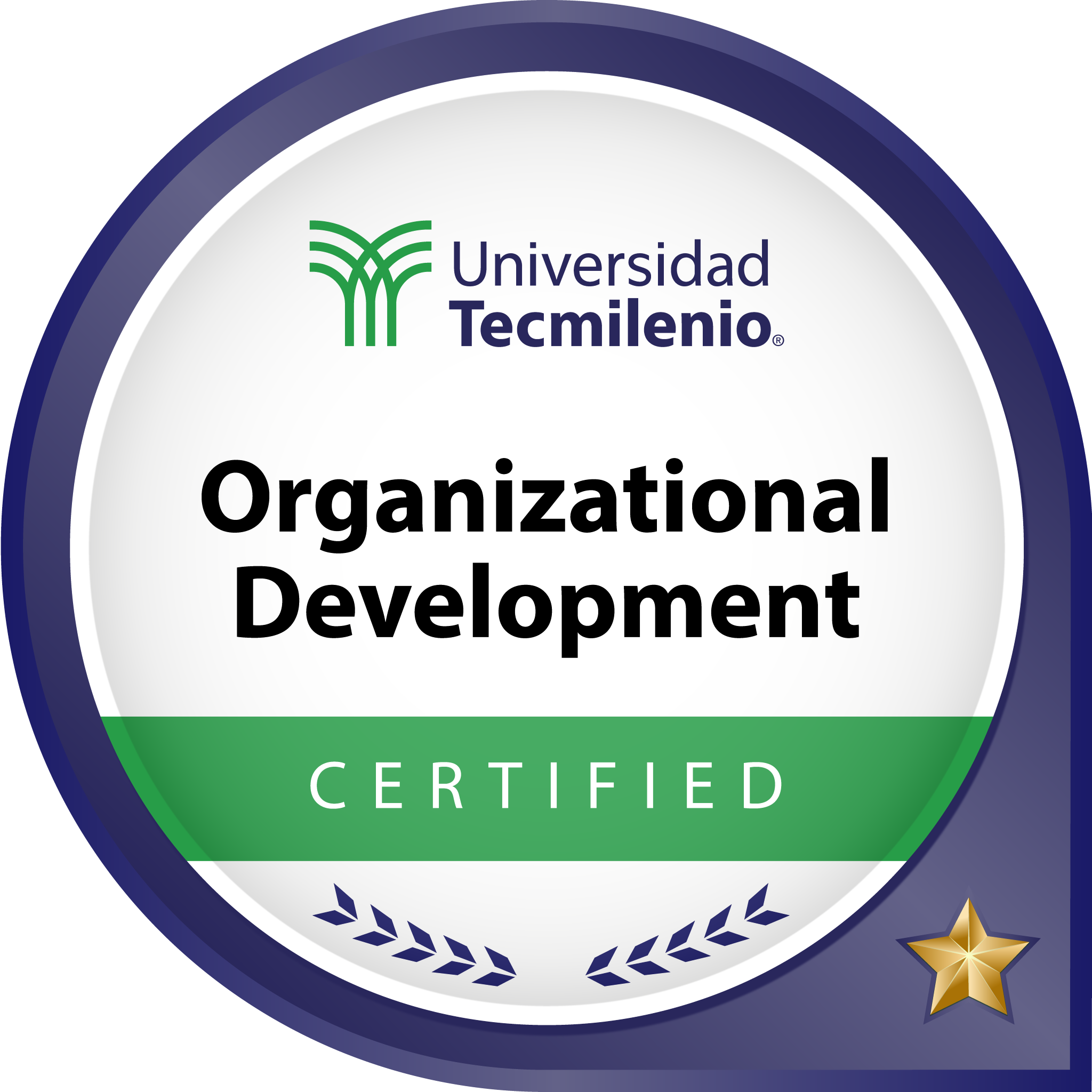 Organizational Development - Certified - Credly