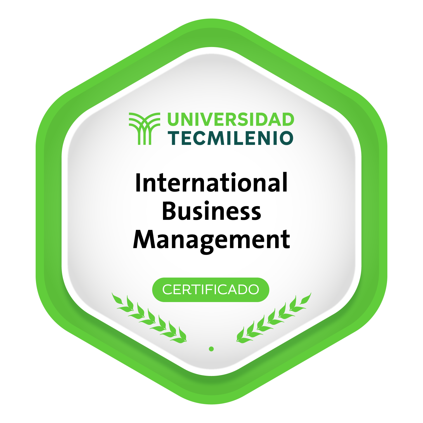 International Business Management - Credly