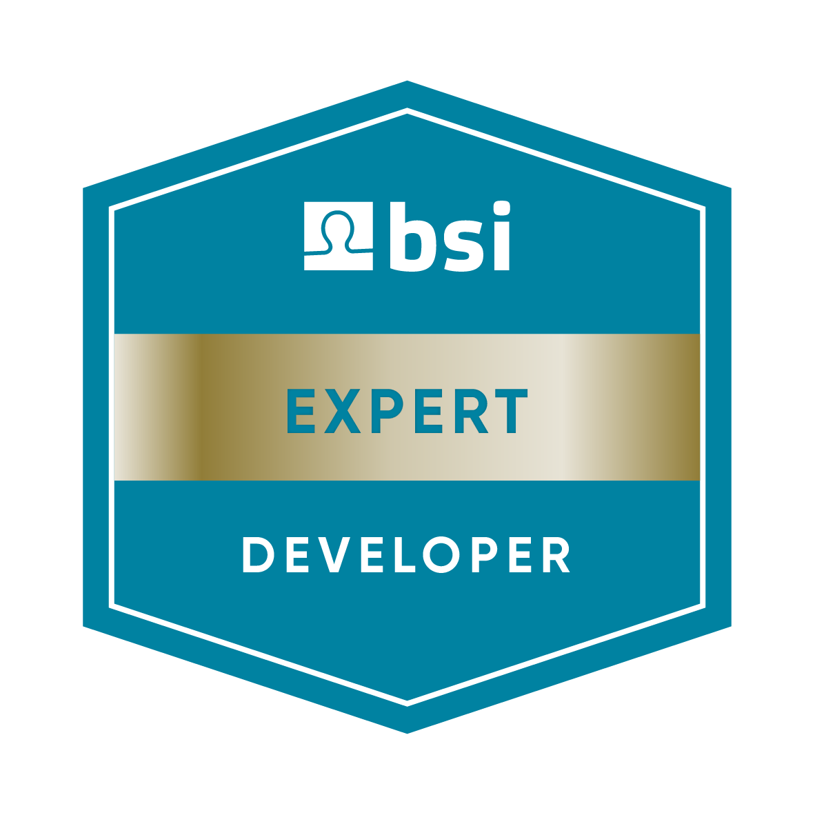 BSI Certified Expert Developer - Credly