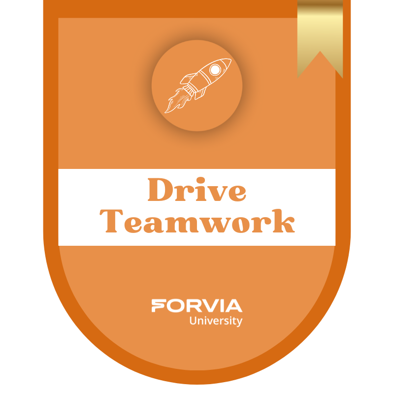Drive Teamwork - Credly