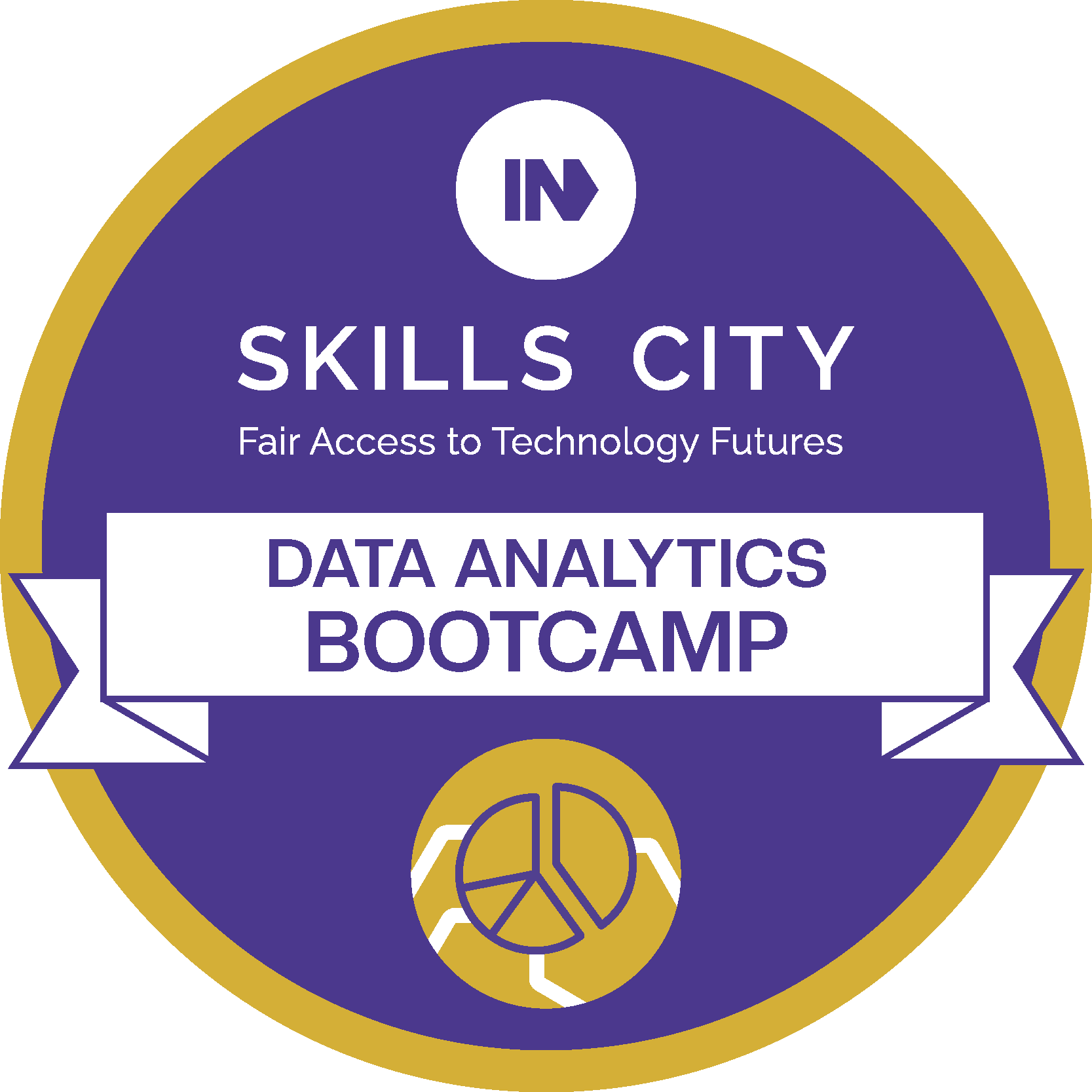 Skills City Data Analytics Gold - Credly