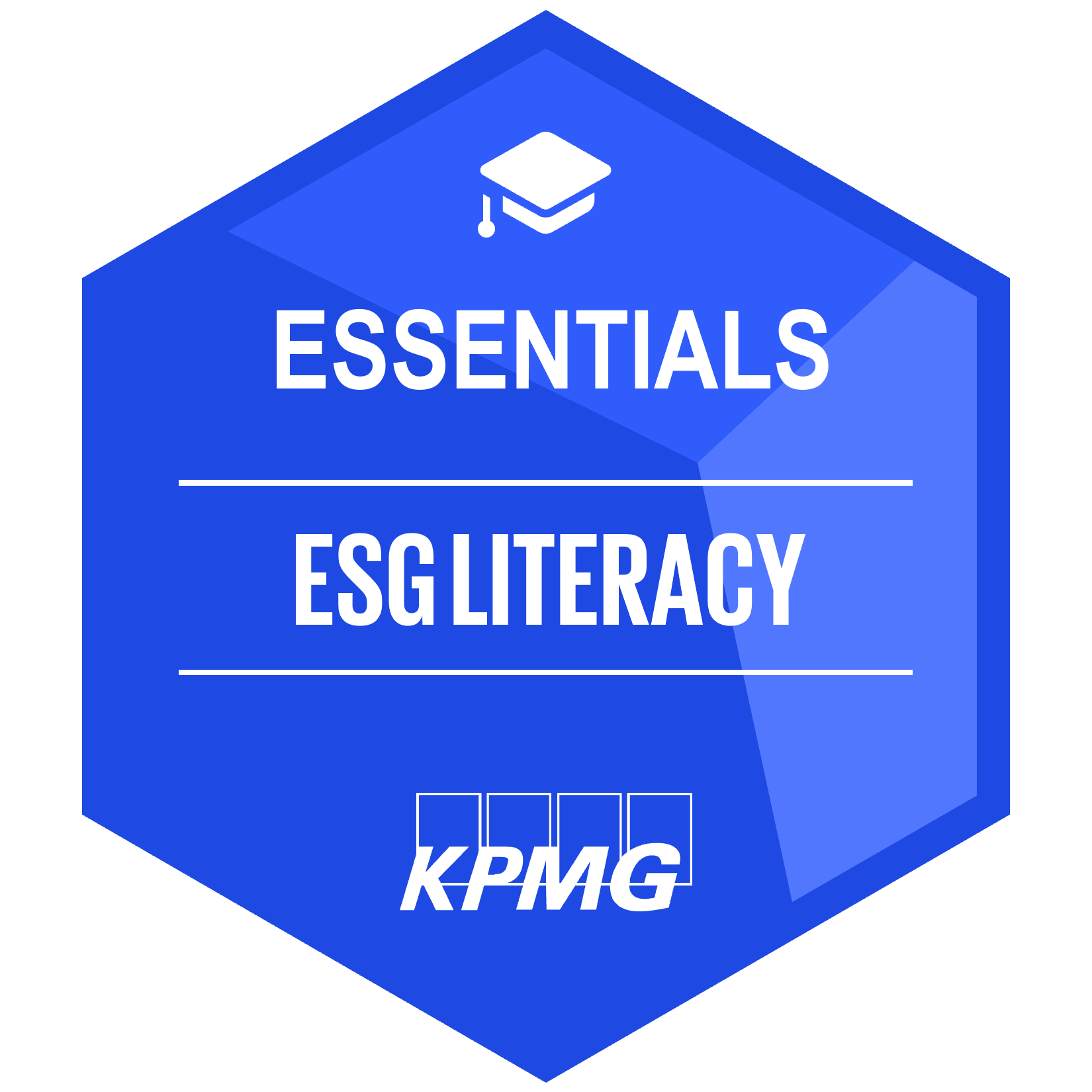 ESG Literacy Essentials - Credly