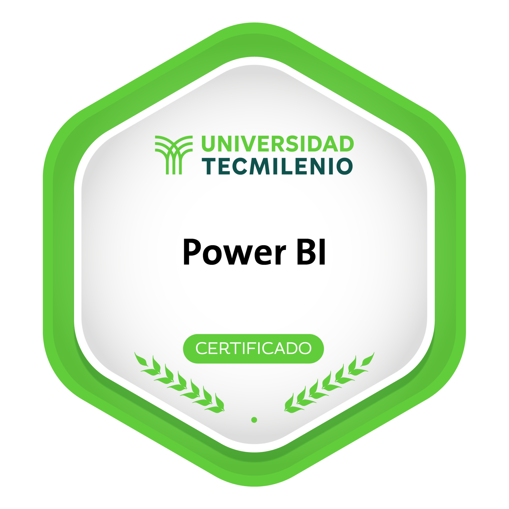 Power BI - Credly