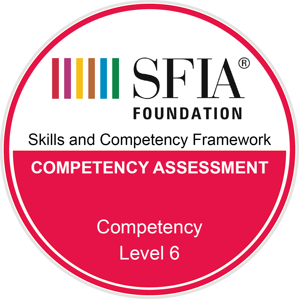 Competency assessment - Competency - Level 6 - Credly