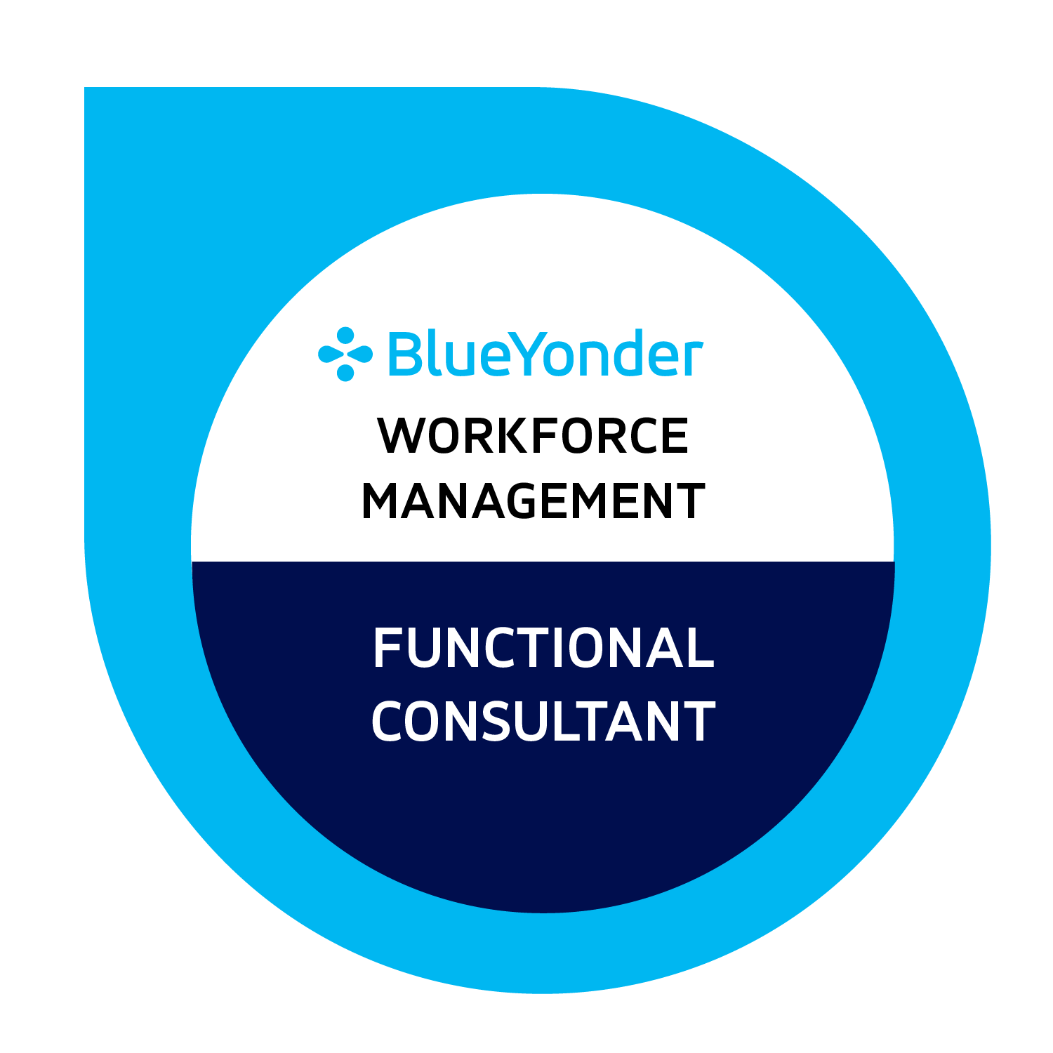 Workforce Management Functional Consultant - Credly