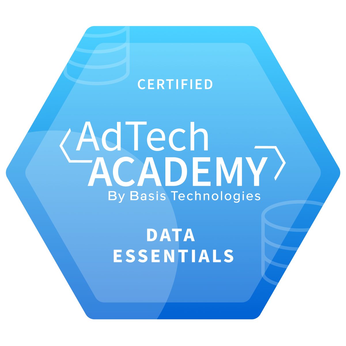 Data Essentials - Credly