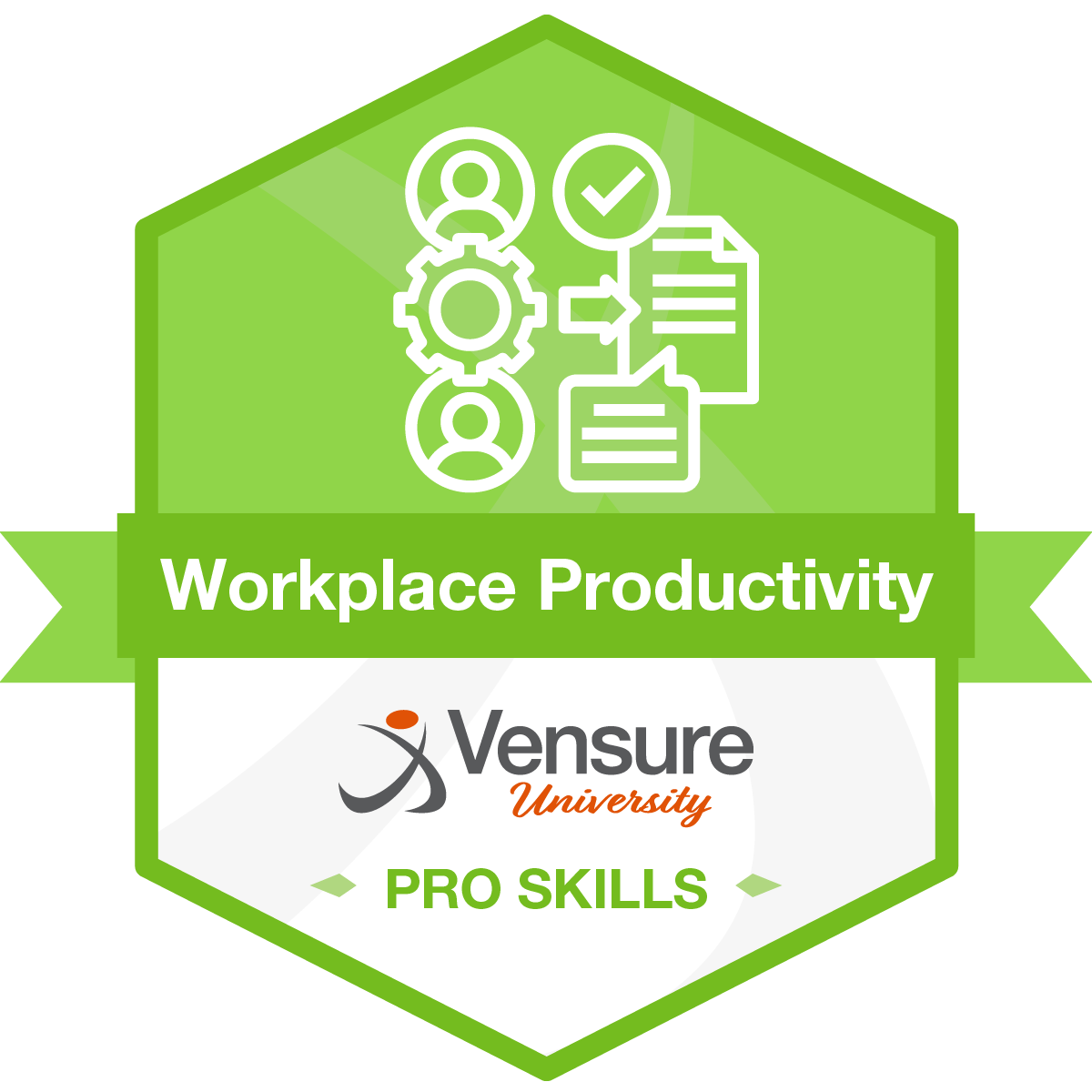 Pro Skills Badge: Workplace Productivity - Credly