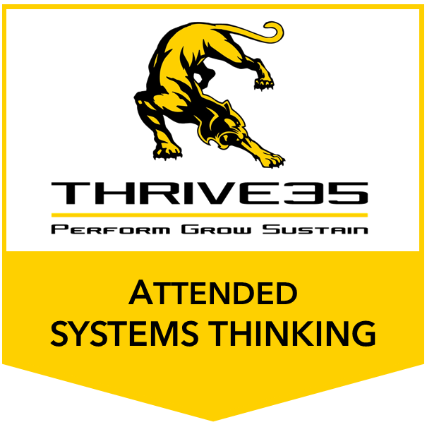 Thrive35 Systems Thinking - Credly