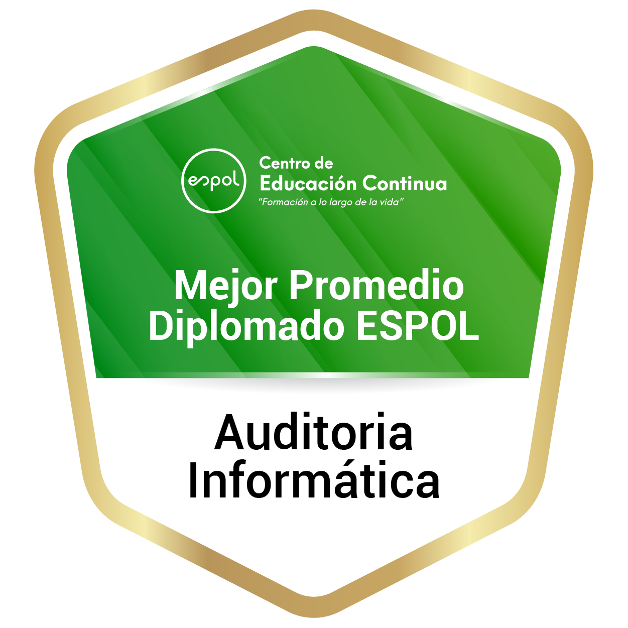 Mejor Promedio en el Diplomado en Auditoria Informática - Credly