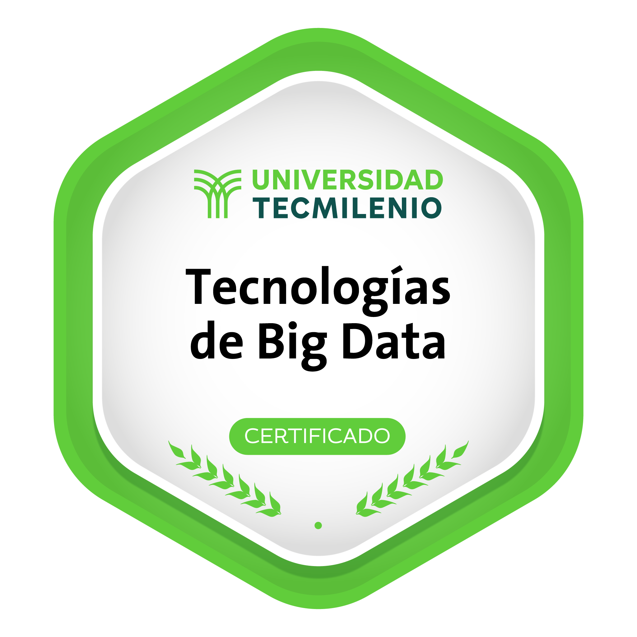 Tecnologías de Big Data - Credly