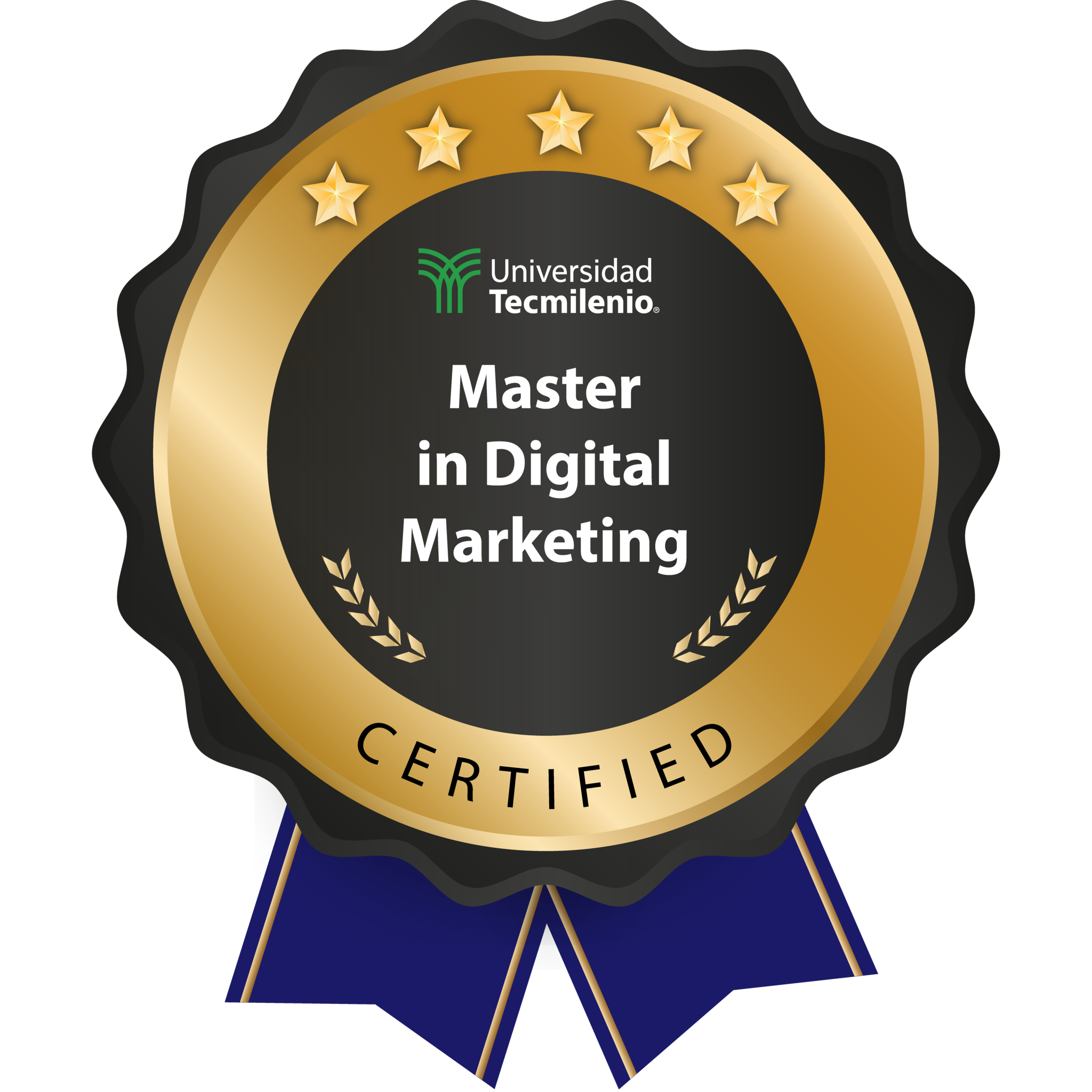 Master in Digital Marketing - Credly