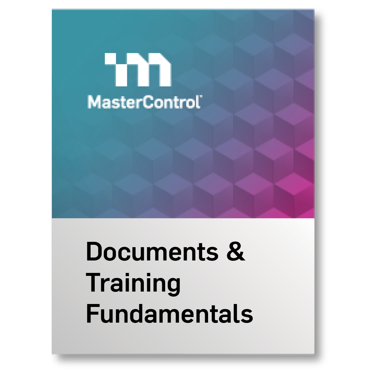 Documents & Training Fundamentals - Credly