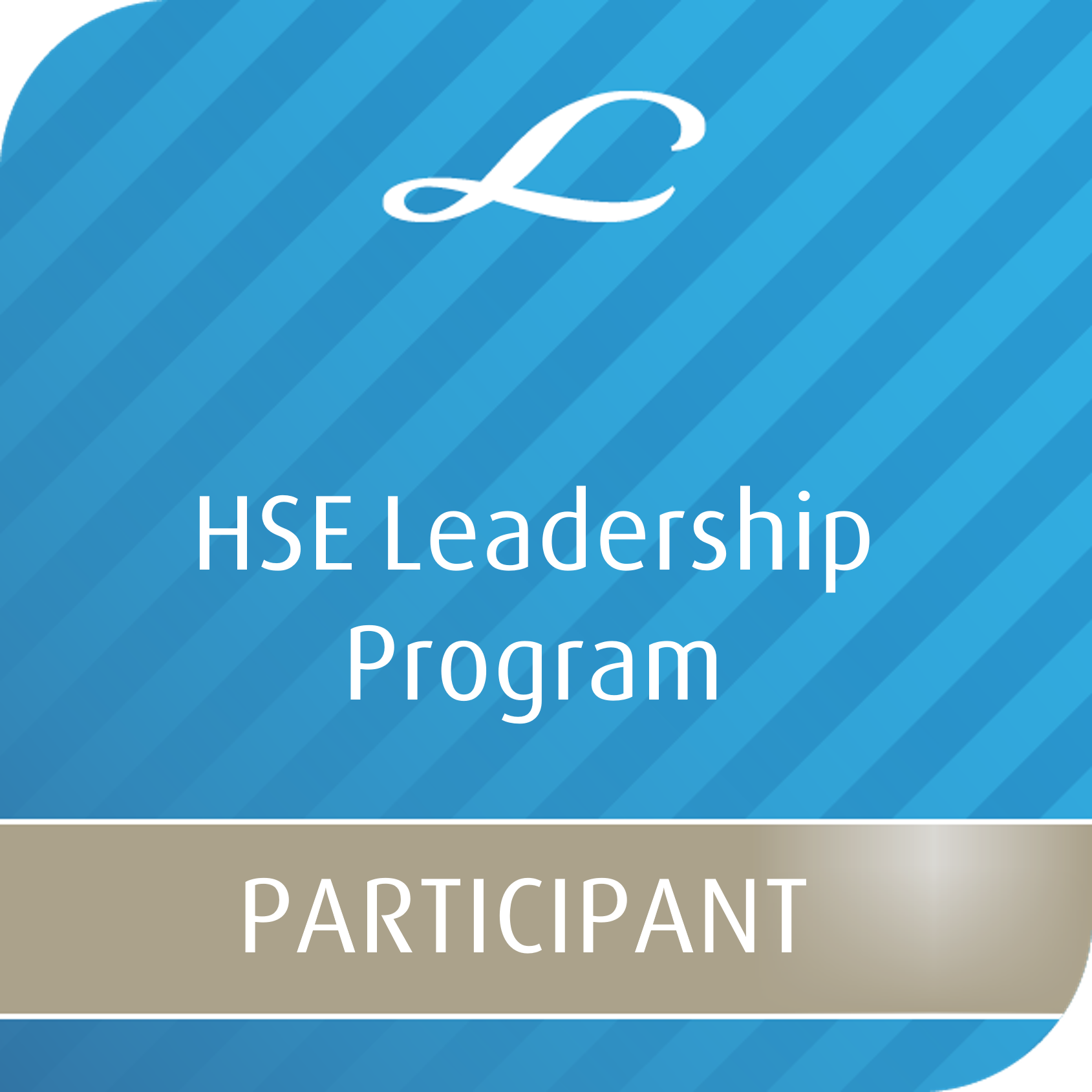 HSE Leadership Program - Participant - Credly