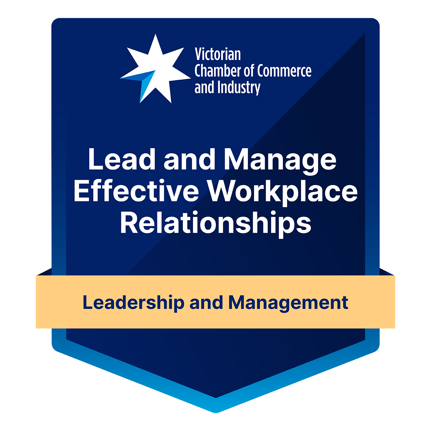 Lead and Manage Effective Workplace Relationships - Credly