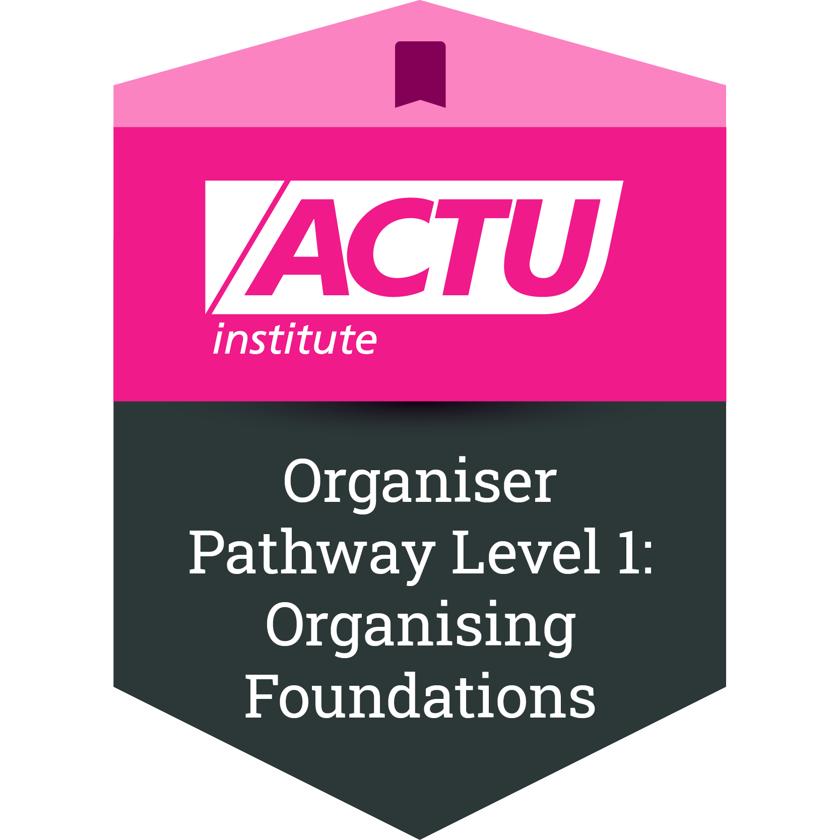 Organiser Pathway Level 1: Organising Foundations - Credly