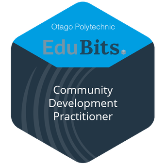 Community Development Practitioner - Credly