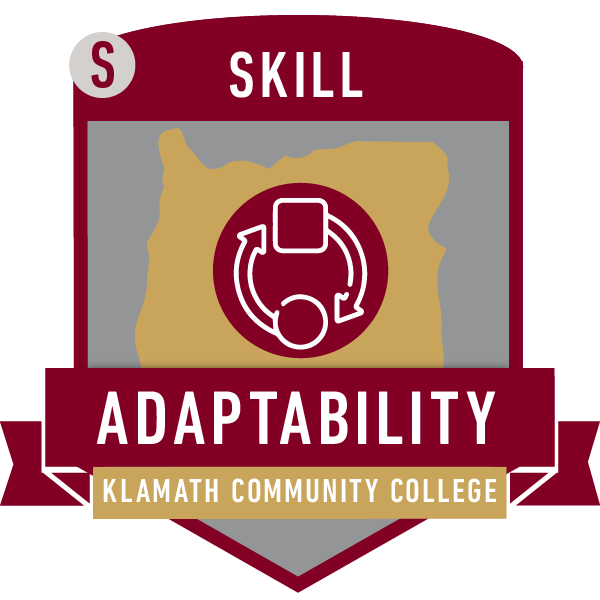 Adaptability - Credly