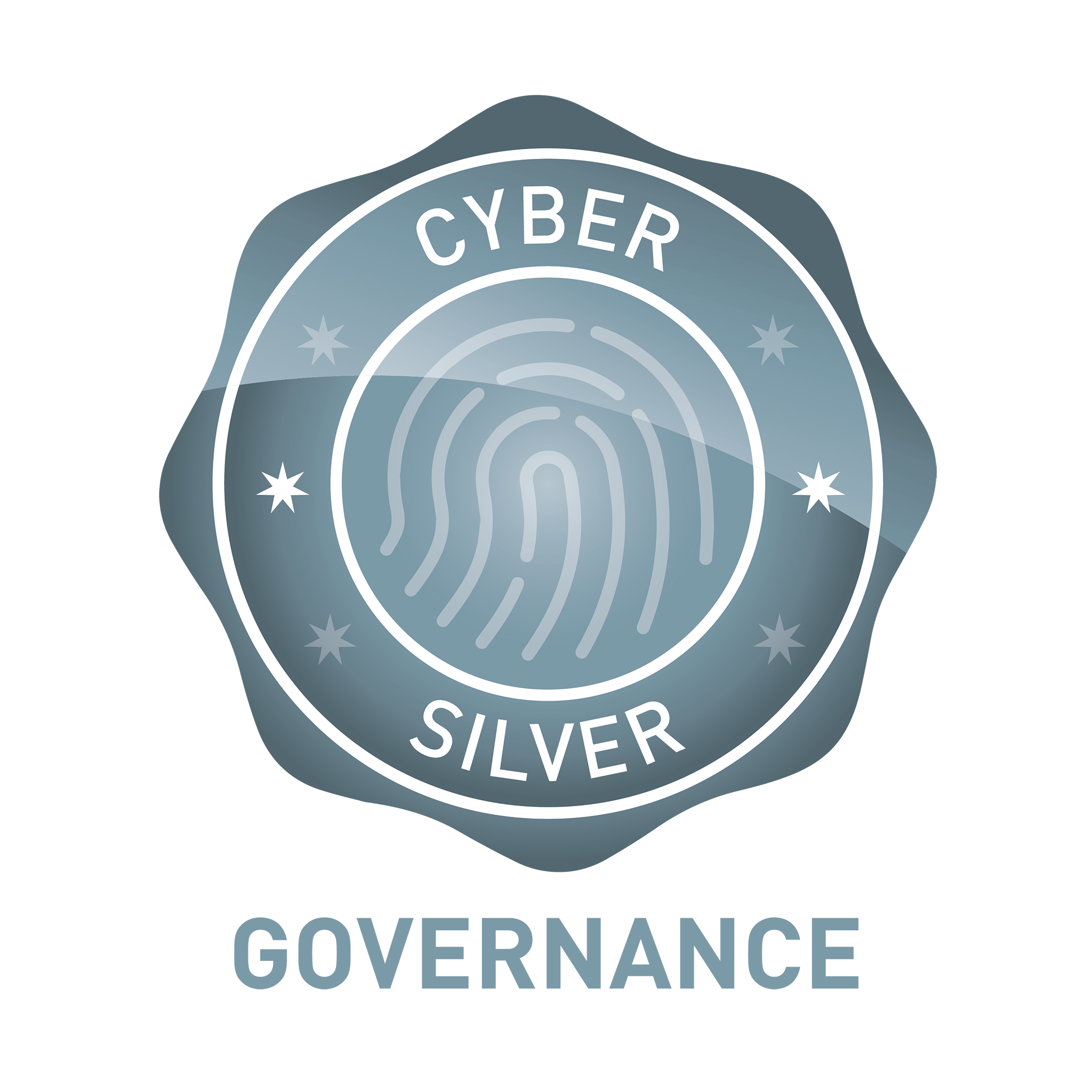 Governance - Silver - Credly